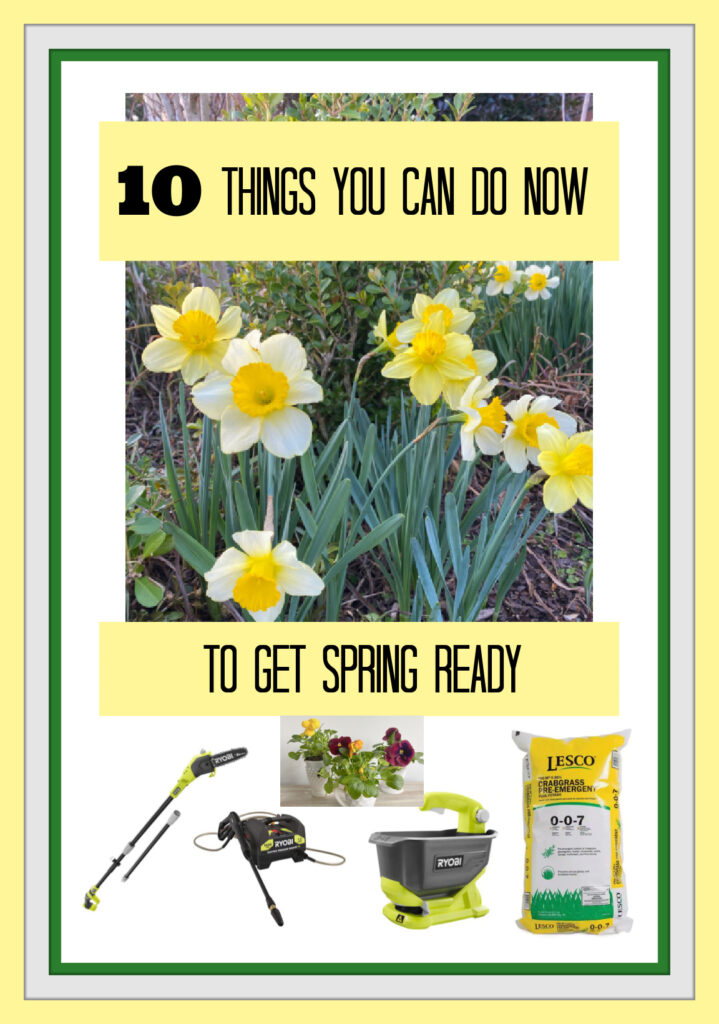 10 Things I Did this Week to Get Yard Ready for Spring! - Shop at Blu