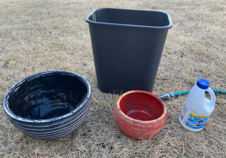 Upcycle Your Garden Pots With Paint - Shop at Blu