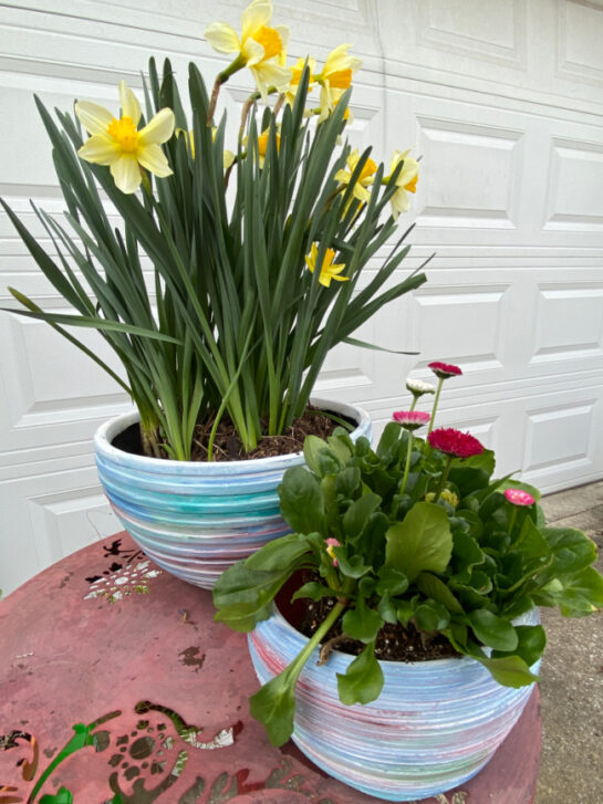 Upcycle Your Garden Pots With Paint - Shop at Blu