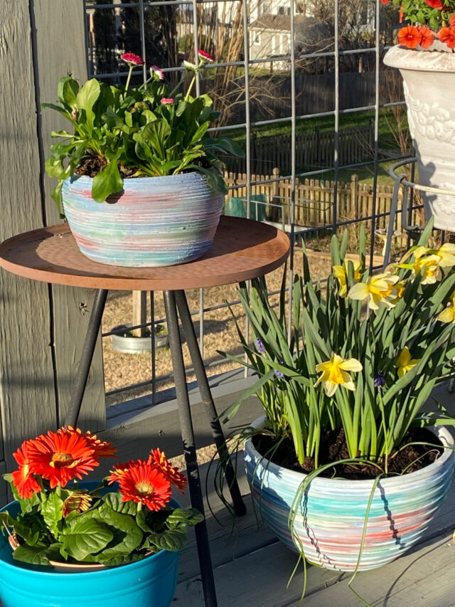 Upcycle Your Garden Pots With Paint - Shop at Blu