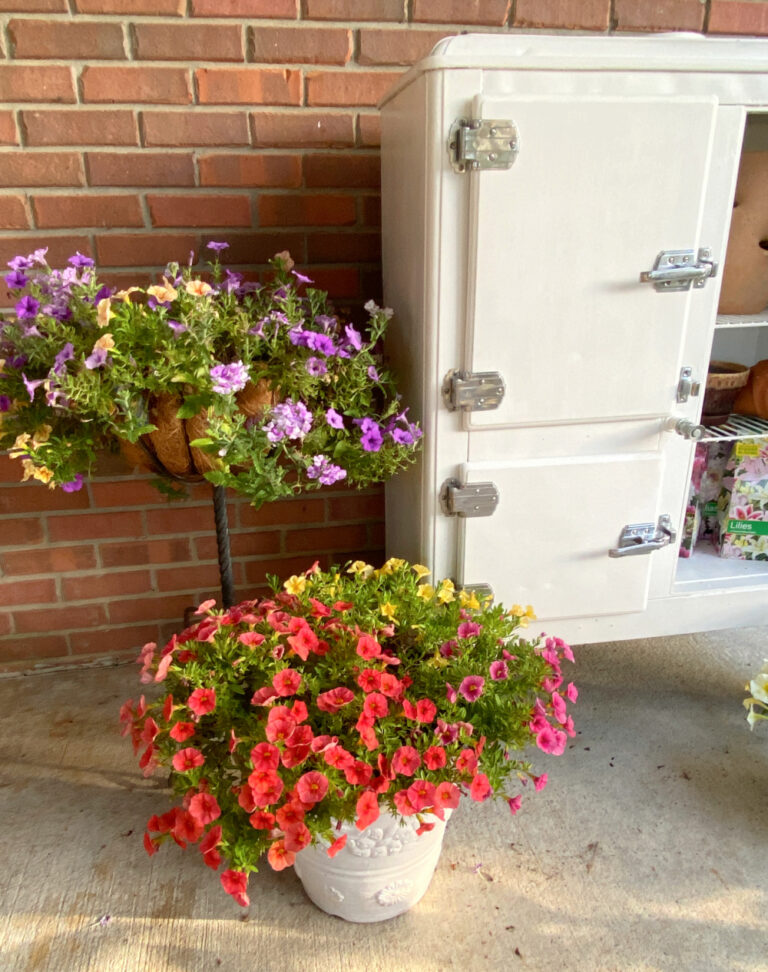 Antique Ice Box Refresh - Shop at Blu